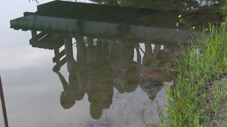 Reflections - Bethany Birches Camp